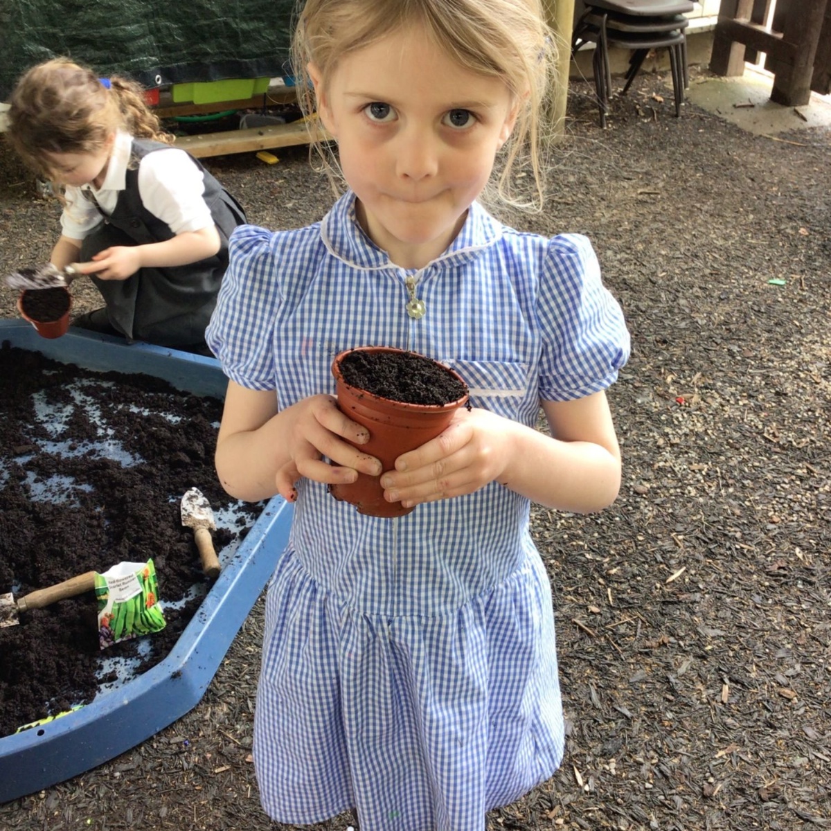 Abberley and the Bean stalk. - Abberley Parochial V.C. Primary School
