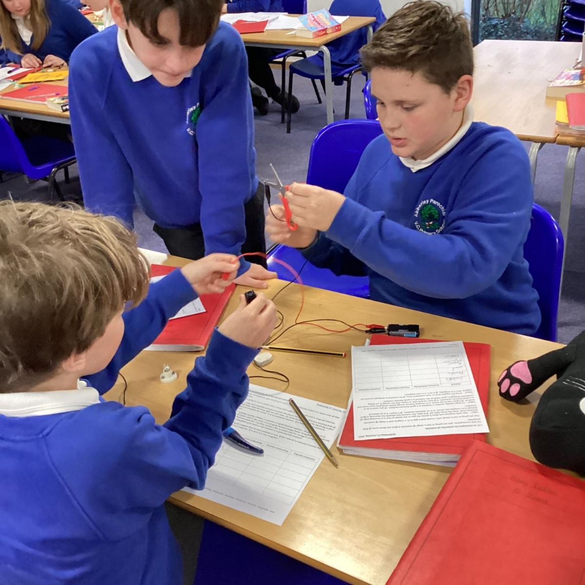 Testing time for Merlins - Abberley Parochial V.C. Primary School